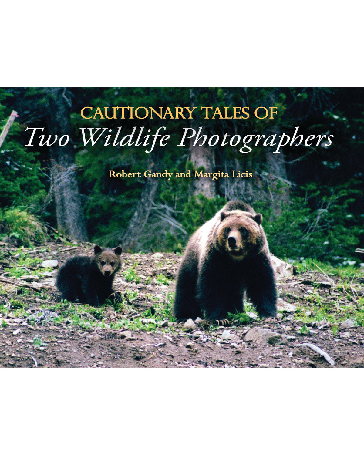 Cautionary Tales of Two Wildlife Photographers — Wind River Outpost